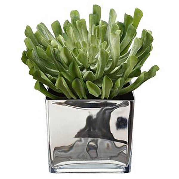 Buy Echeveria in Vase Green, 13in H x 12in W x 12in L Online | Creative Minds Artificial Floral ...